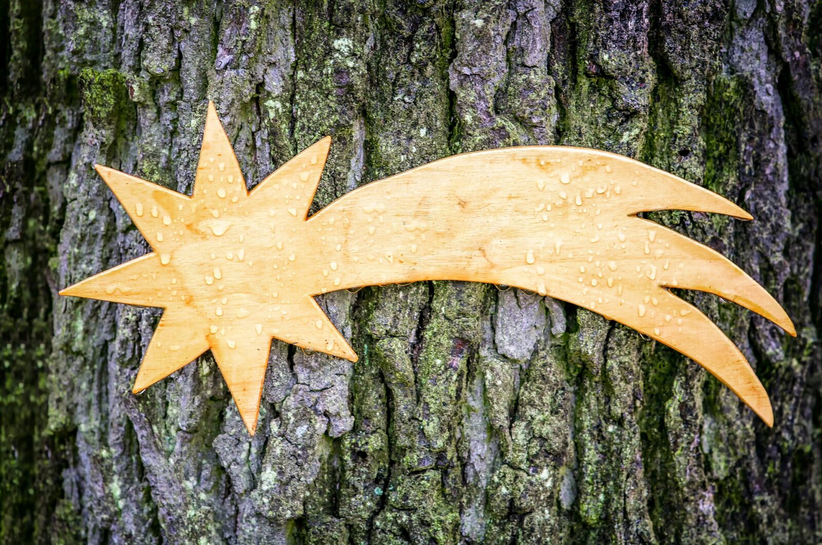 Il Significato Della Stella Cometa - I Regali Di Natale